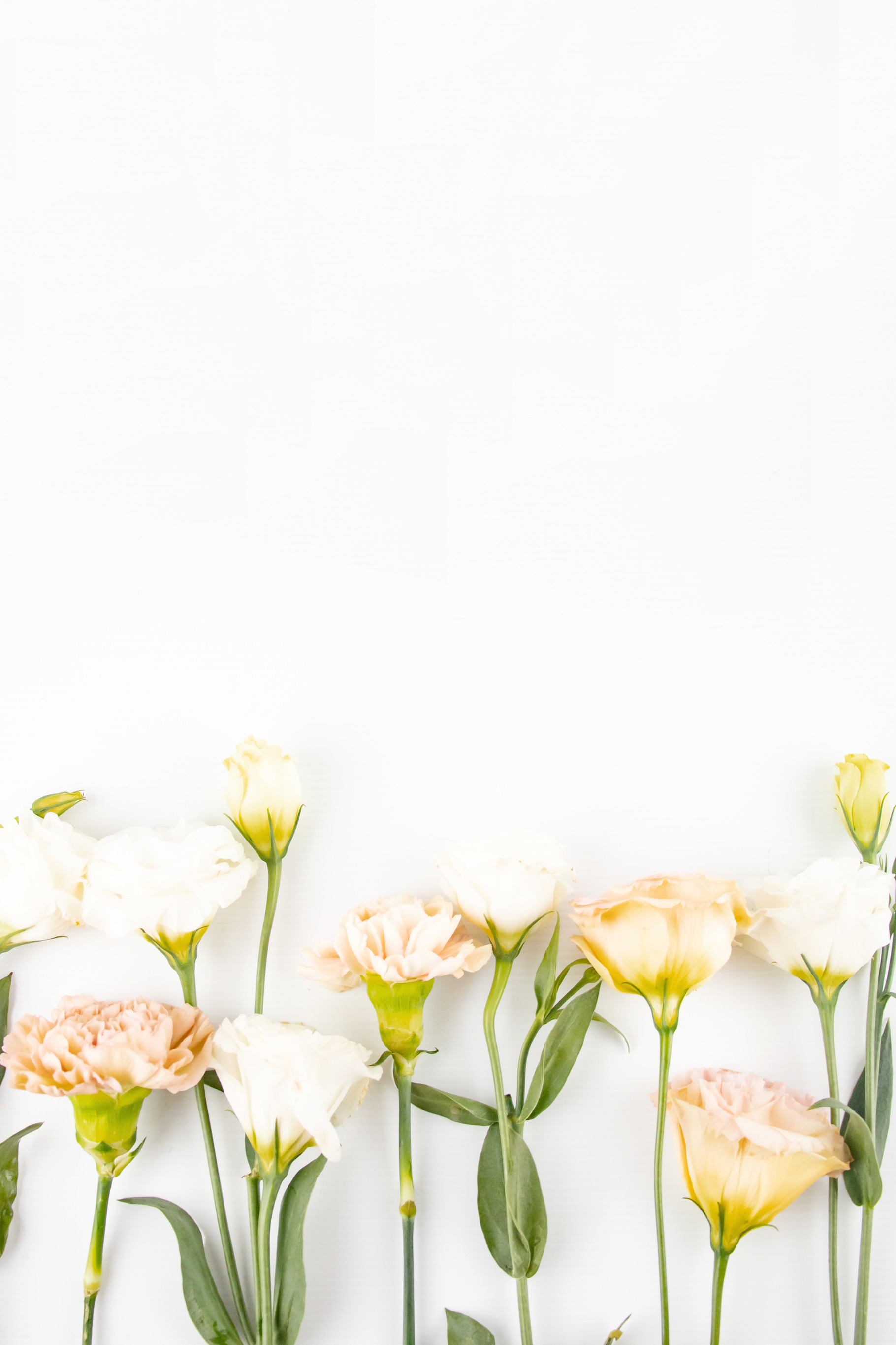 Vertical Floral Composition, an Arts & Entertainment Photo by Citrus ...