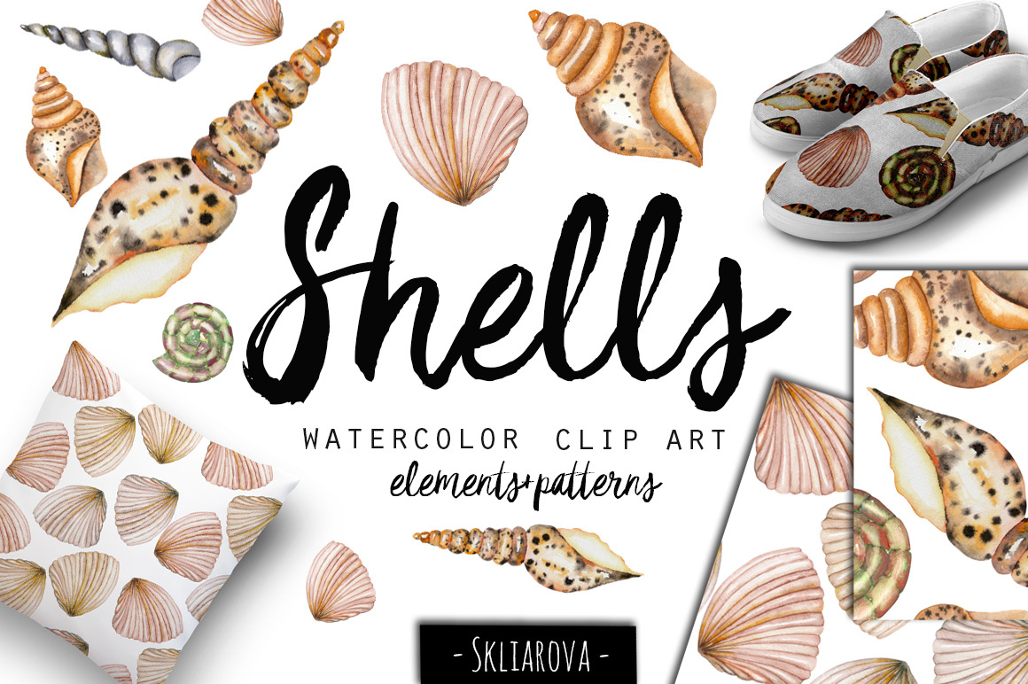 SeaShells. Watercolor clip art., a Texture Illustration by Skliarova