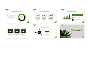 Cactus - Presentation Template, a Presentation Template by AQR Studio