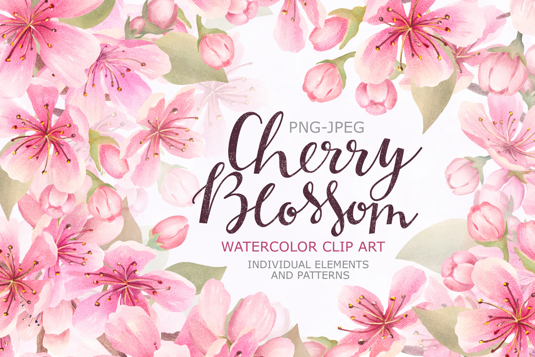 Cherry Blossom Watercolor, an Illustration by Nataleana