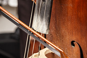 Double bass bridge, an Arts & Entertainment Photo by Grafvision photography