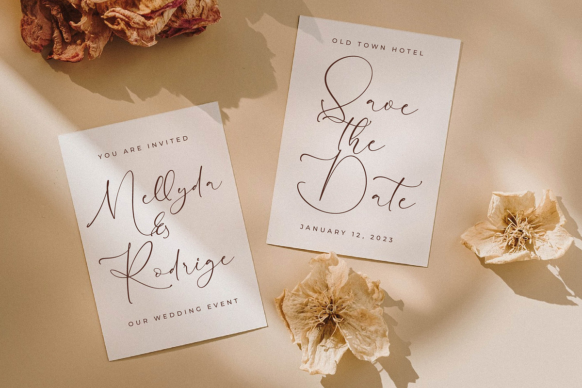 Kingdom Estella Font Duo, a Serif Font by Storytype Studio