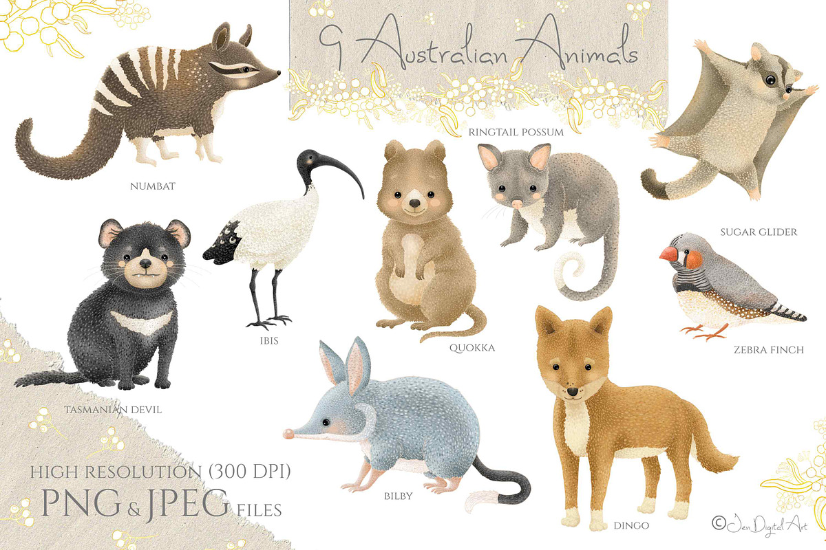 Australian Animals Vol II, an Animal Illustration by Jen Digital Art