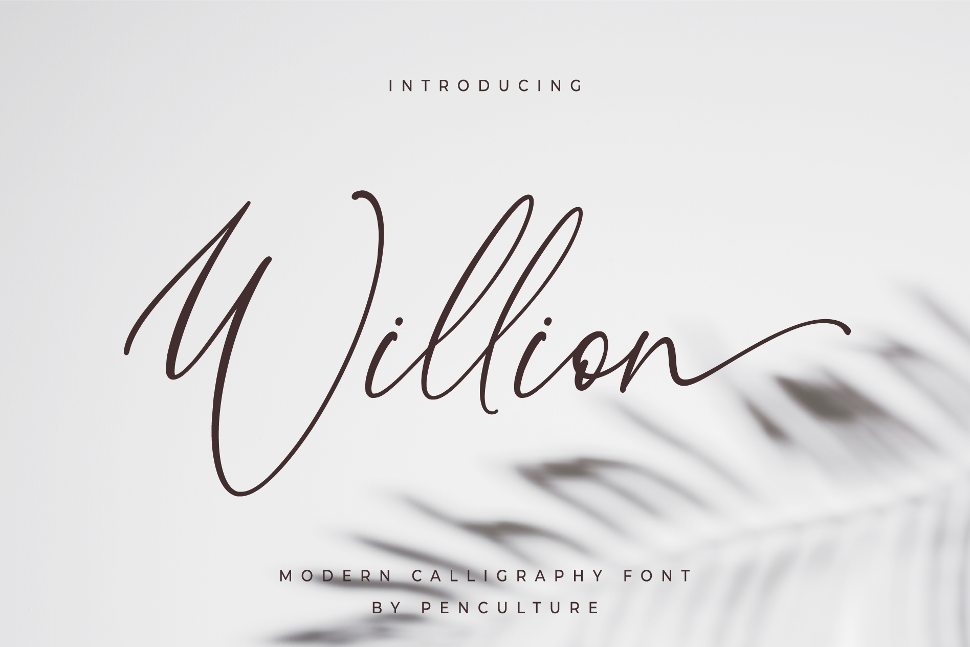 Willion Calligraphy Font, a Script Font by Pen Culture