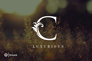 Classy C Letter Logo, a Branding & Logo Template by Bintank Studio
