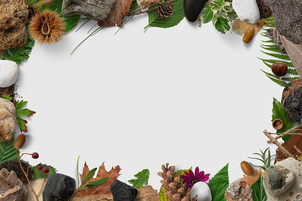 5 Nature Frames, an Object Graphic by h3design