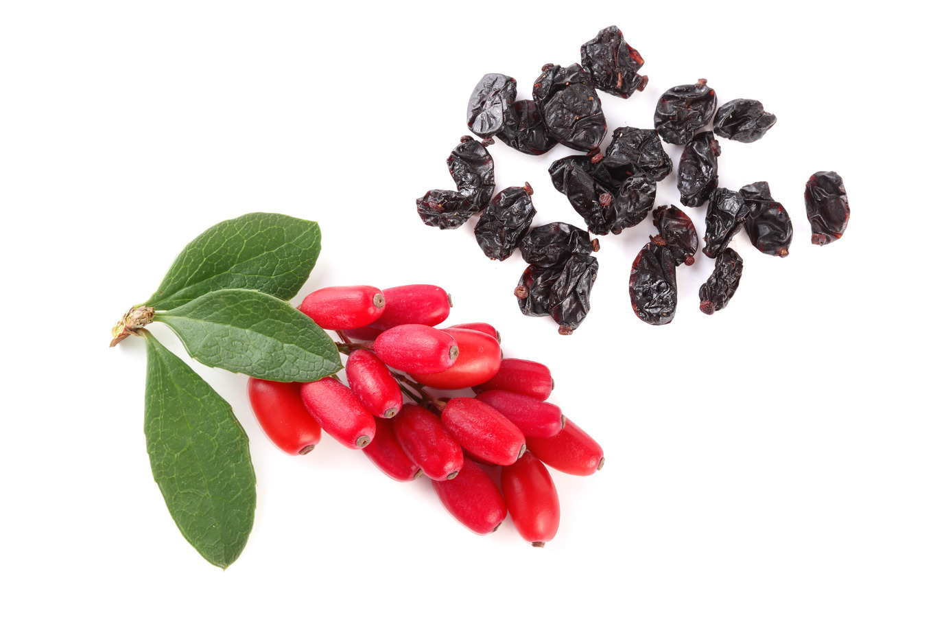 Dried and fresh barberry with leaves isolated on white background top ...