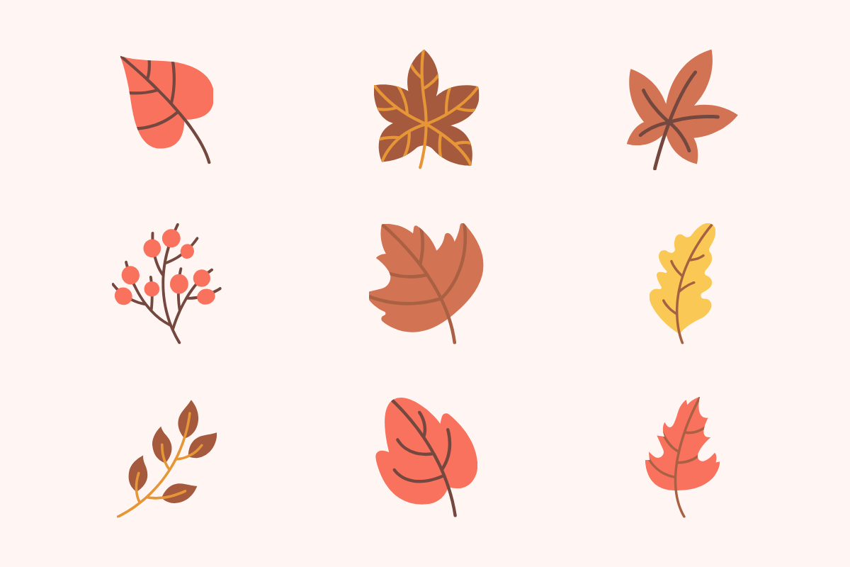 Vector Hand Drawn Autumn Leaves Set