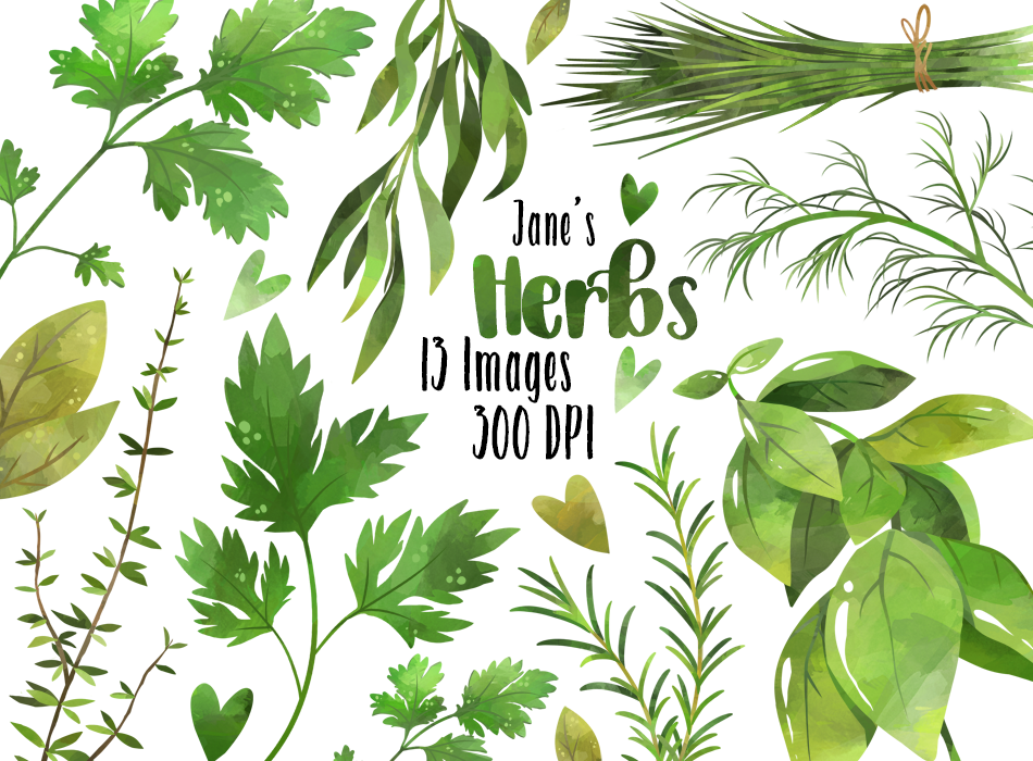 Watercolor Herbs Clipart, an Illustration by DigitalArtsi