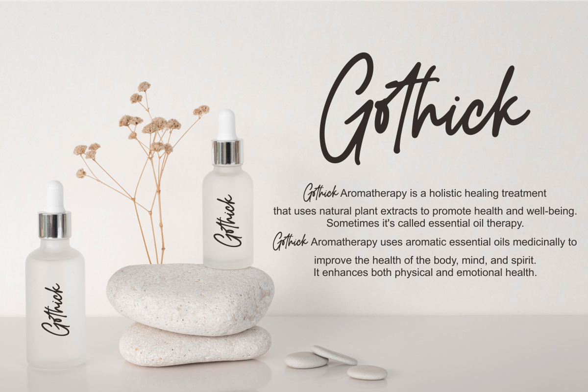 Carolina Signature, a Script Font by NJ Studio