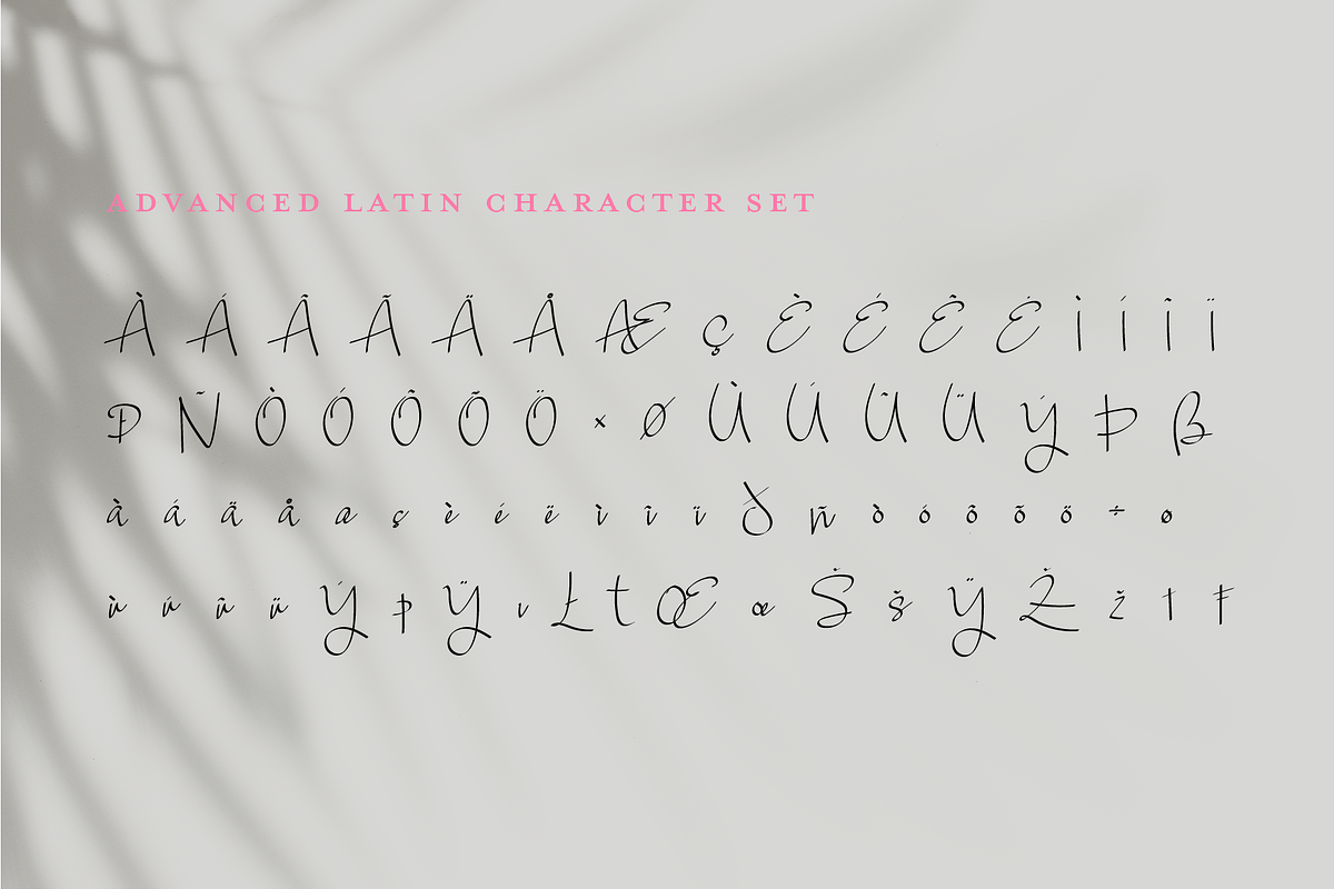 Mr Smith | Modern Script Font, a Script Font by Chasing Palm Trees