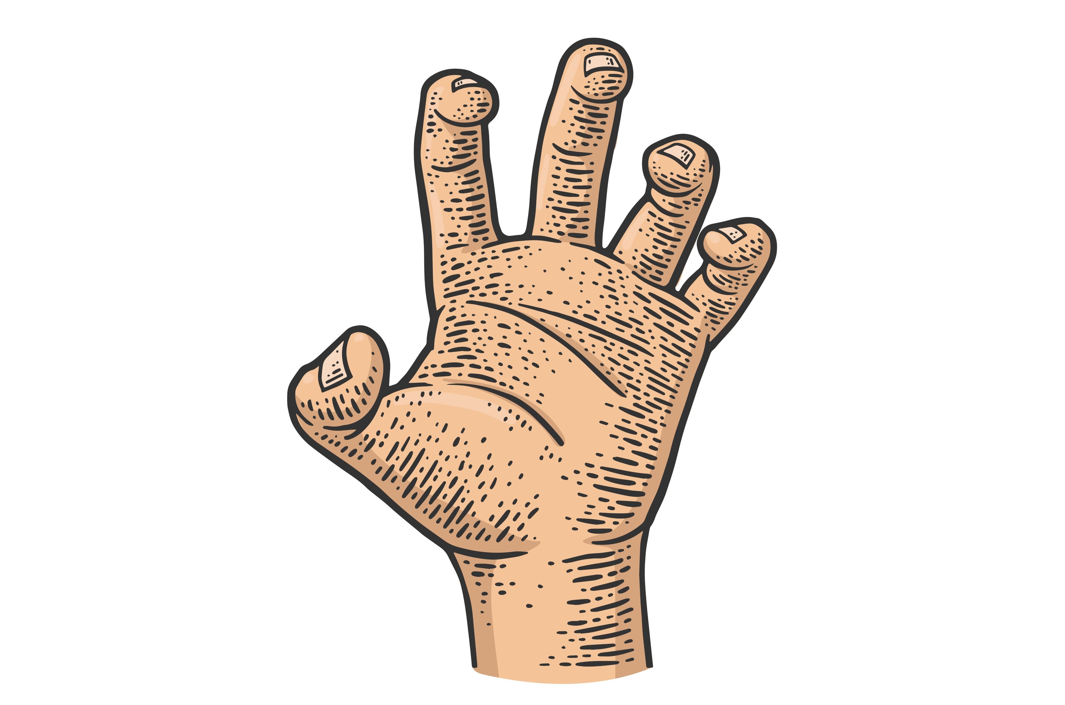 grasping hand sketch vector, an Object Illustration by AlexArt