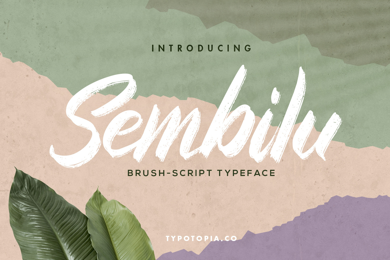 Sembilu Brush-Script Typeface, a Script Font by edukka