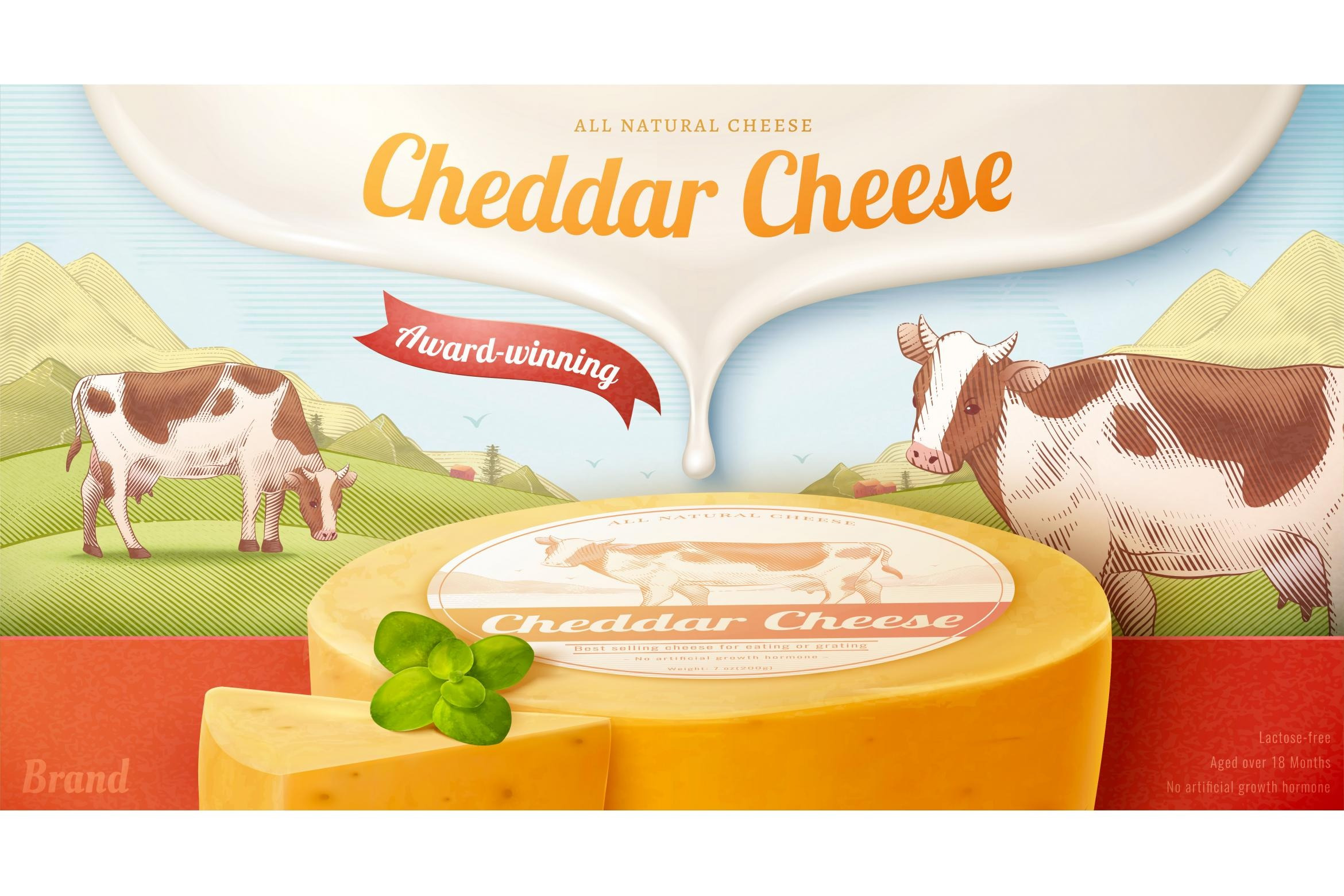 3d cheddar cheese banner ad, a Flyer Template by TotallypicRF