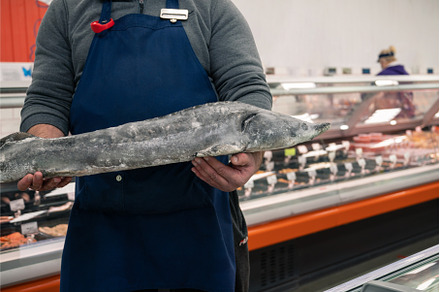 Male fishmonger or fish market, a Food & Drink Photo by Jan Jack Russo ...