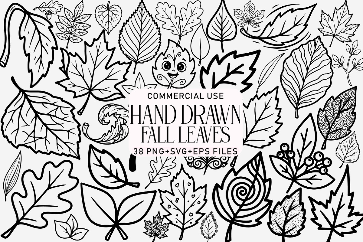 Hand Drawn Fall Leaves Clipart Bund, an Illustration by Daily.Designs