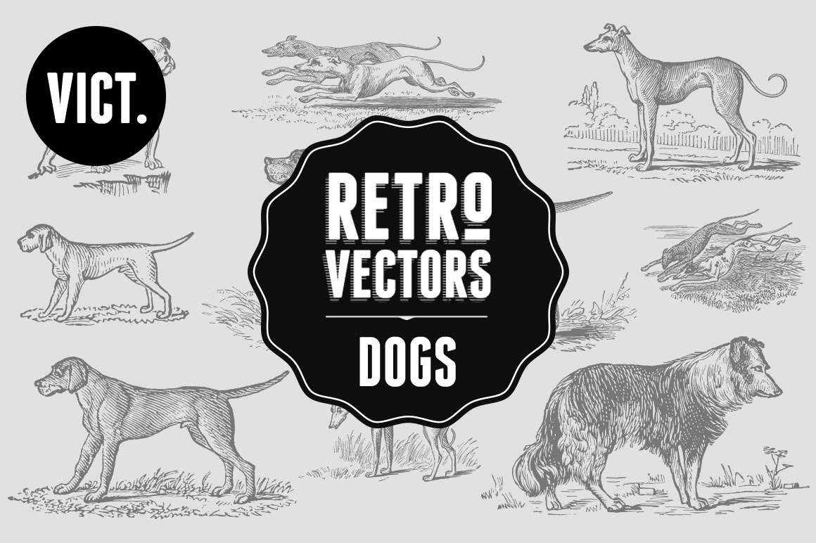 Vintage Dogs, an Illustration by Retro Vectors