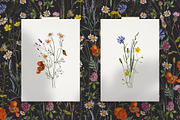Watercolor meadow wildflowers set