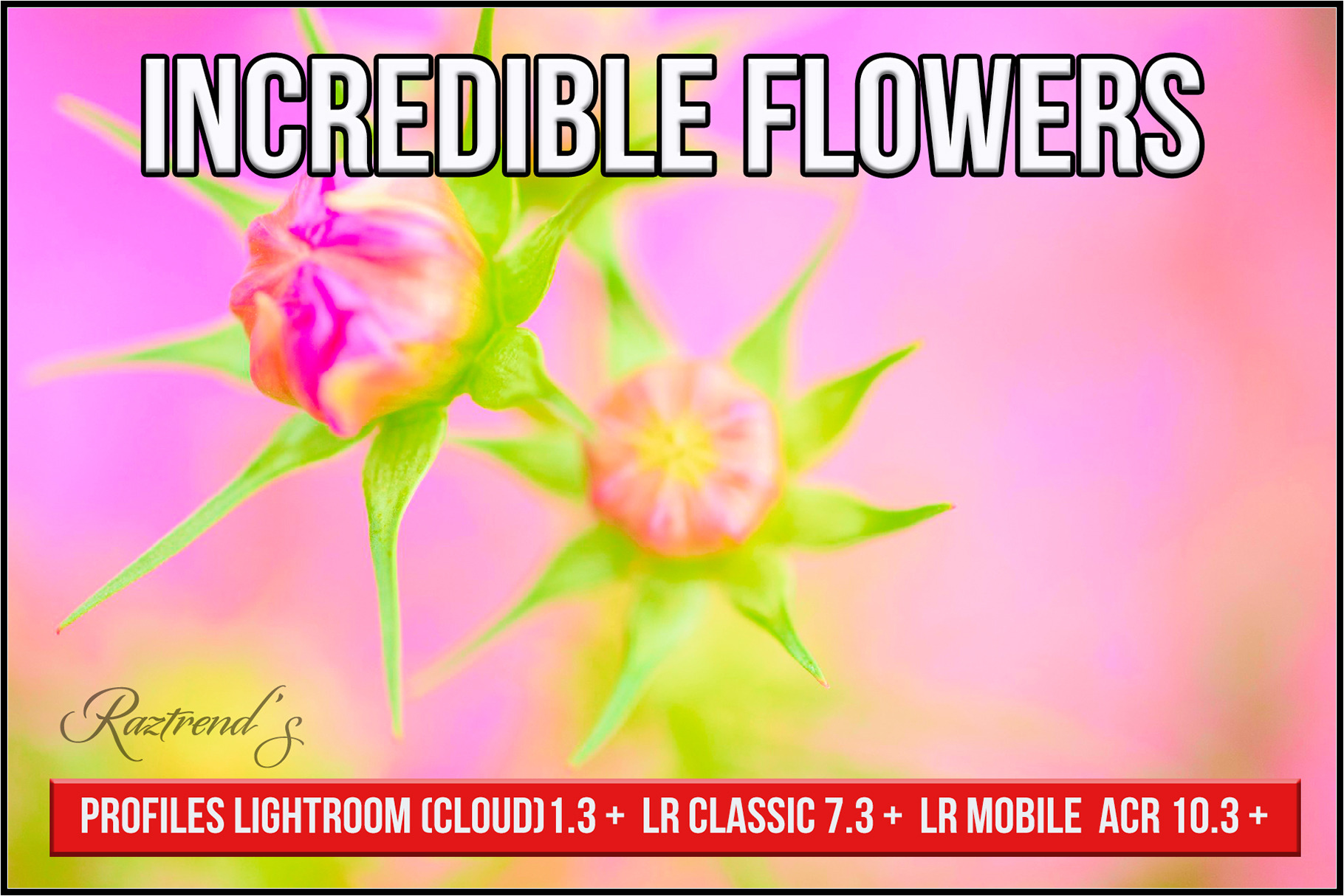Incredible Flowers Profiles, a Plug-in Add-On by Raztrend
