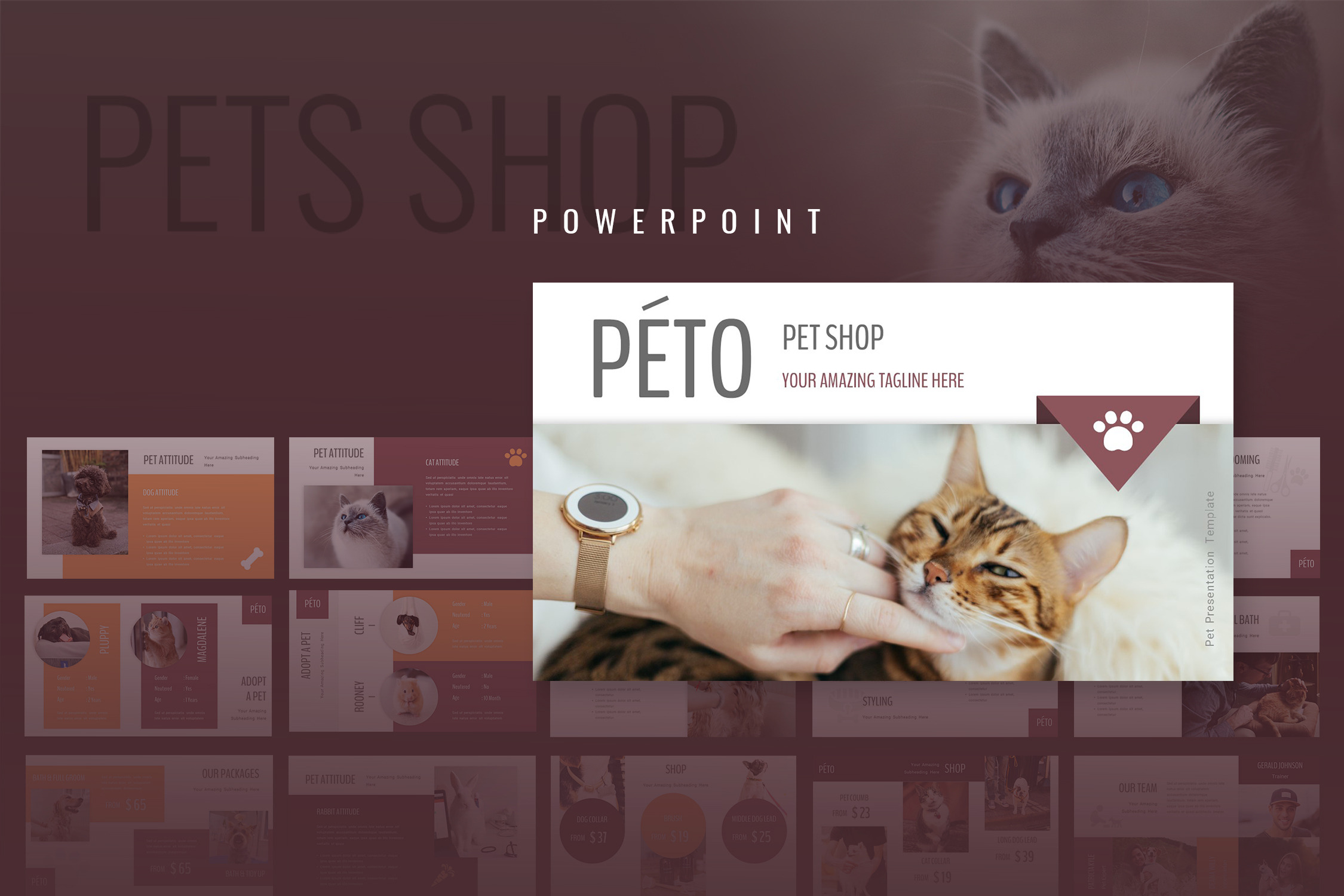 Peto - Pet Shop Powerpoint, a Presentation Template by TMint Creative