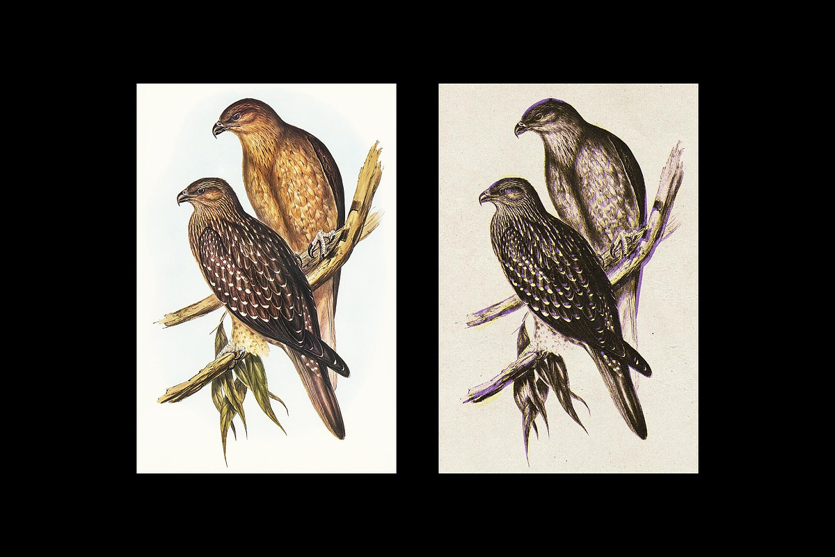 Vintage Paper Print Effect, a Layer Style Add-On by Design Squad