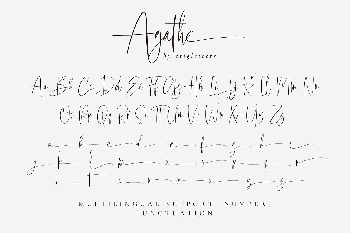 Agathe Handwritten Script | Creative Market