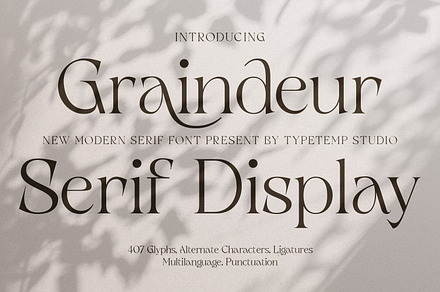 Aqala Display Font, a Serif Font by Typetemp Studio