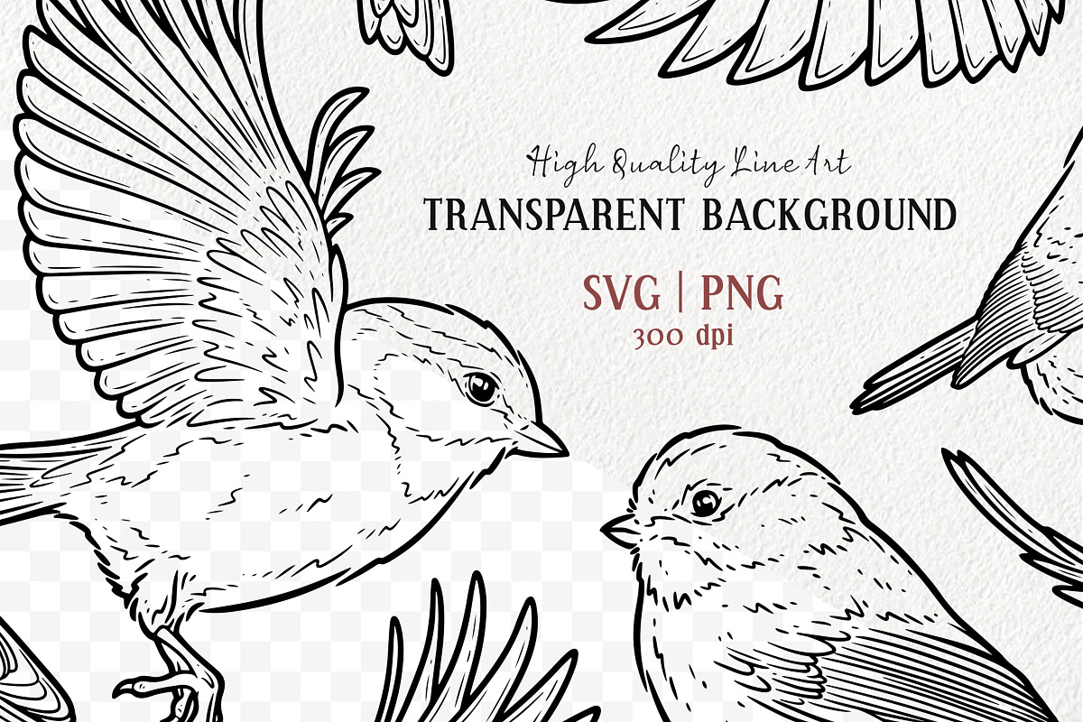 Chickadee Bird Vector Line Art Set, an Animal Illustration by MadliArt