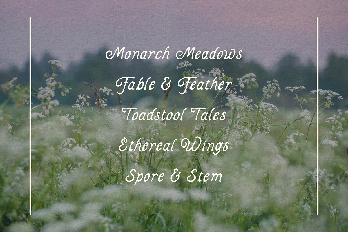 Fairwren, a Serif Font by Chelsea Burkett