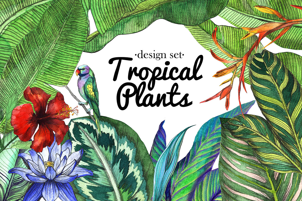 Tropical Design Set, an Illustration by emeraldthue