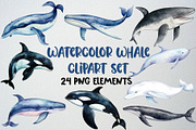 Watercolor Whale Clipart Set, 24 PNG | Creative Market