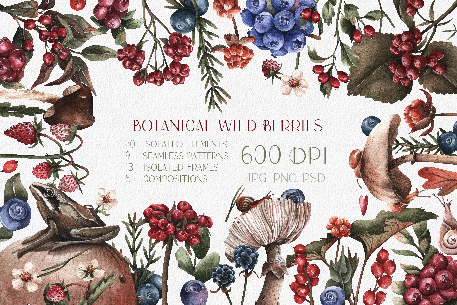Botanical wild berries set, an Illustration by Slovovslovo | Creative ...