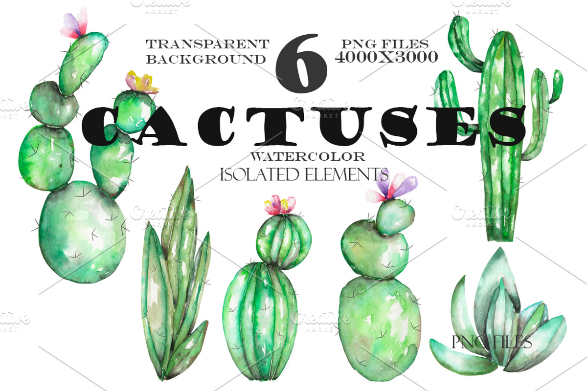 Watercolor Cactuses clipart, an Illustration by Skliarova