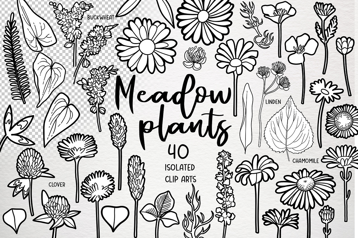 Graphic honey - vector collection, a Food Illustration by Ekaterina ...