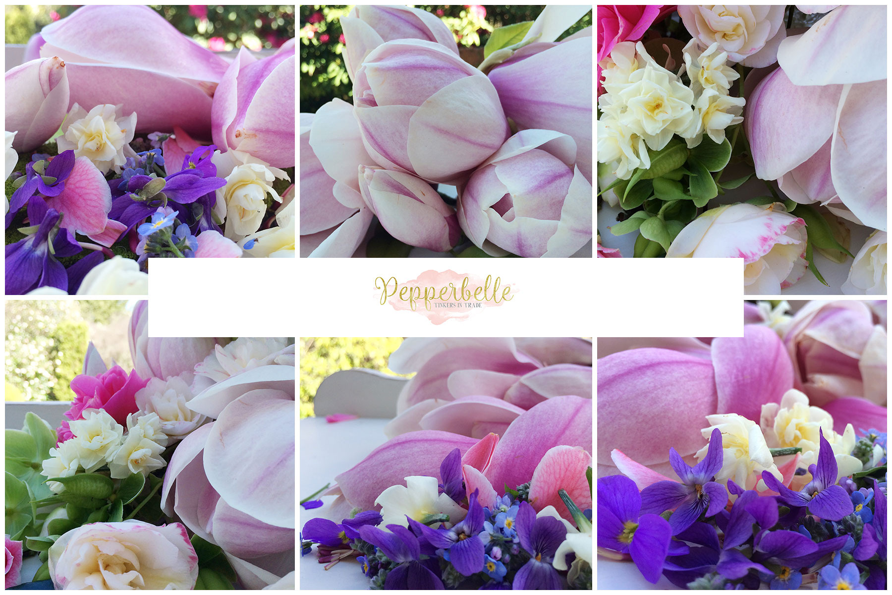 Beautiful Spring - Tasmanian blooms, a Business Photo by Pepperbelle ...