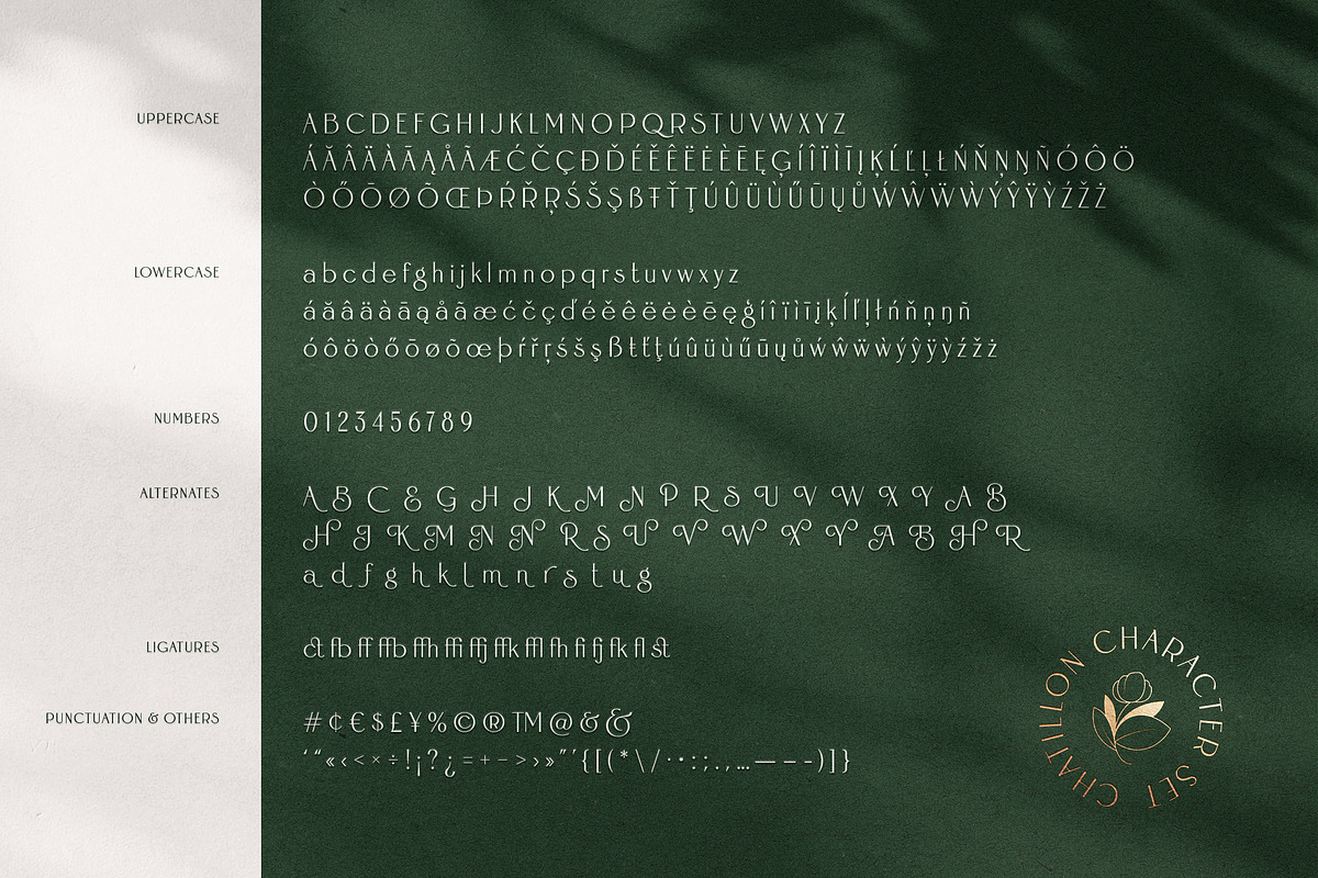 Chatillon Font and Extras