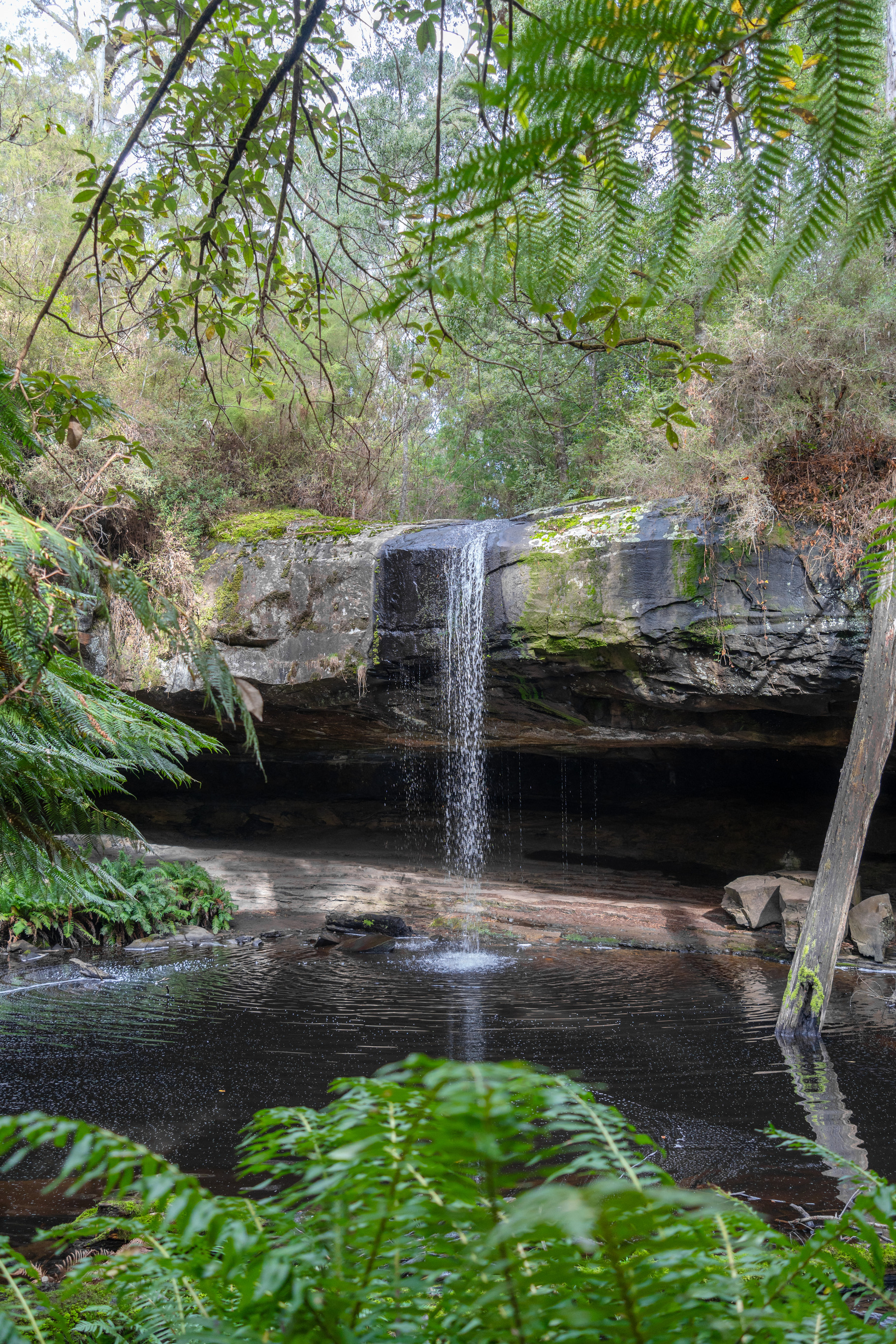 Kalimna Falls along Cumberland River trek, Great Ocean Road, Aus, a ...