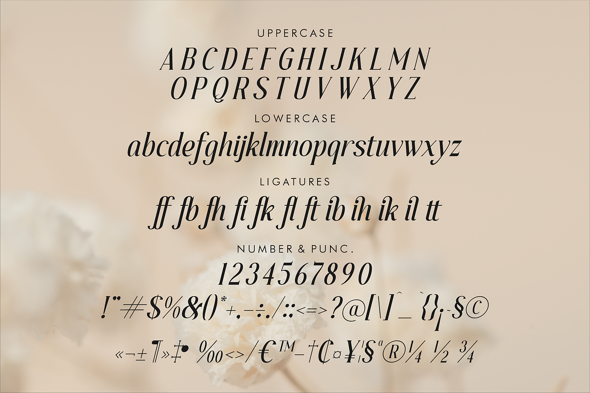 Blafhy Glibs A Modern Serif Font, a Serif Font by Storytype Studio