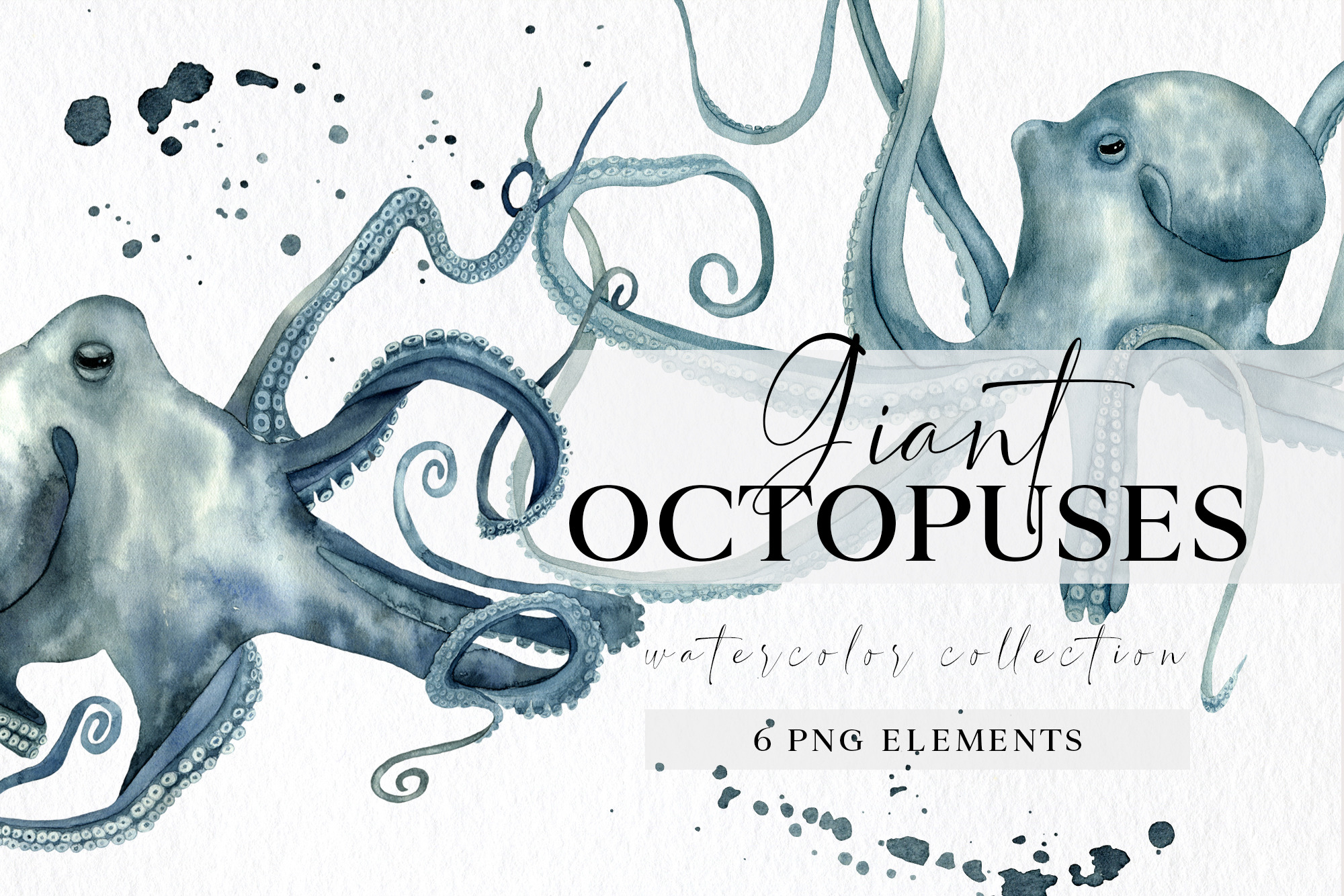 Watercolor png octopus clip art, a Decorative Illustration by ...
