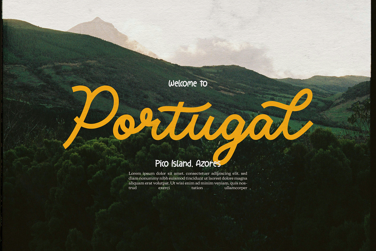 Averty Meadow | Monoline Script, a Script Font by gracetype_studio