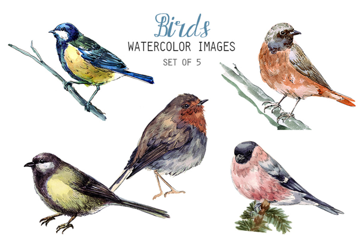 Watercolor Birds Clipart, an Illustration by YesFoxy