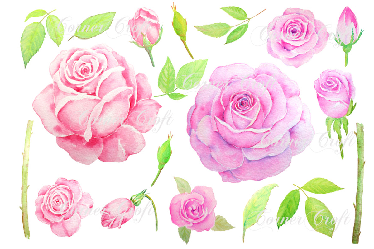 Watercolor Vintage Pink Rose Clipart, an Illustration by Corner Croft