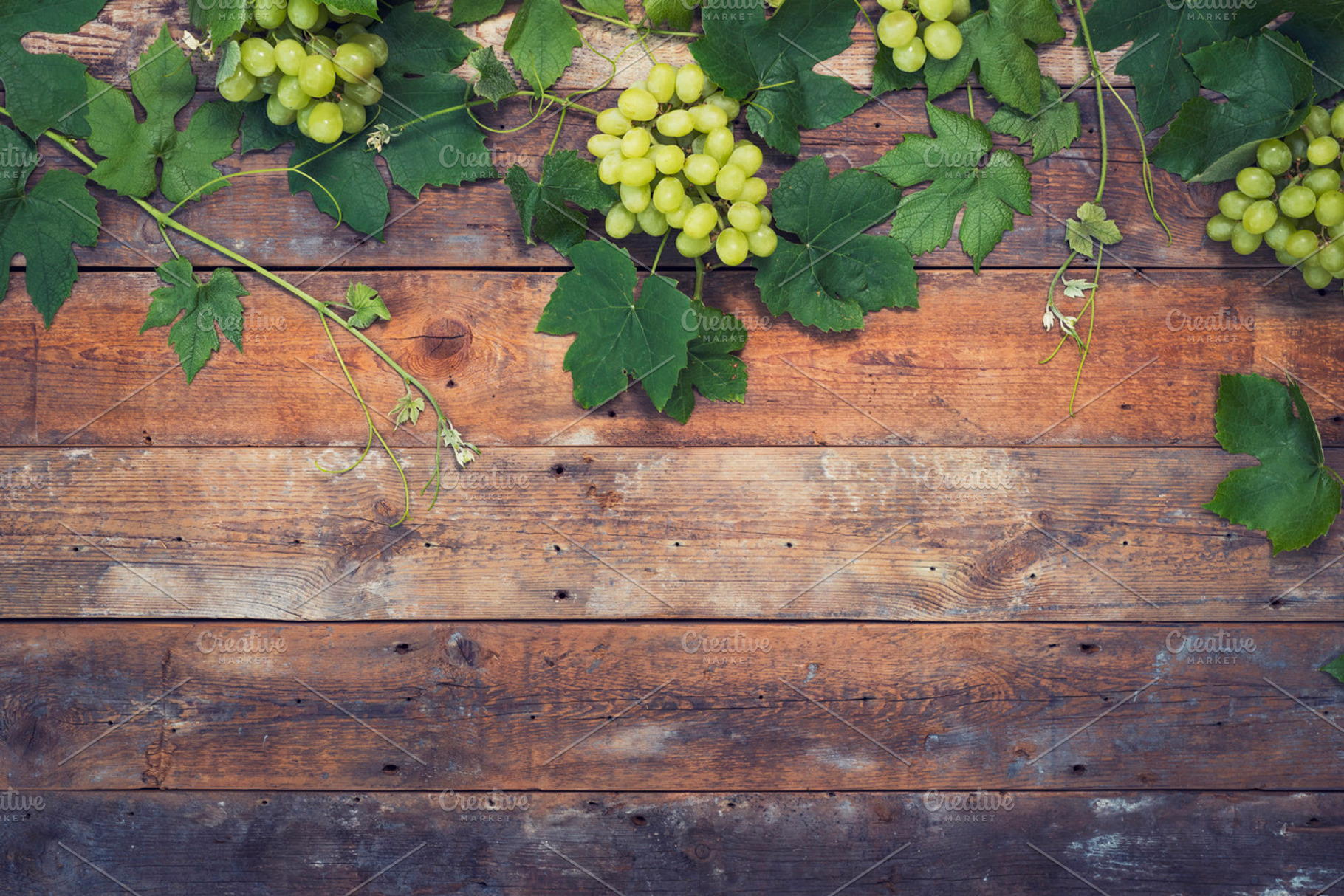 Wine / vineyard background, a Food & Drink Photo by Twin Design