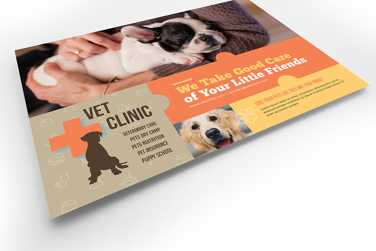 Vet Clinic Flyer Template, a Flyer Template by BrandPacks