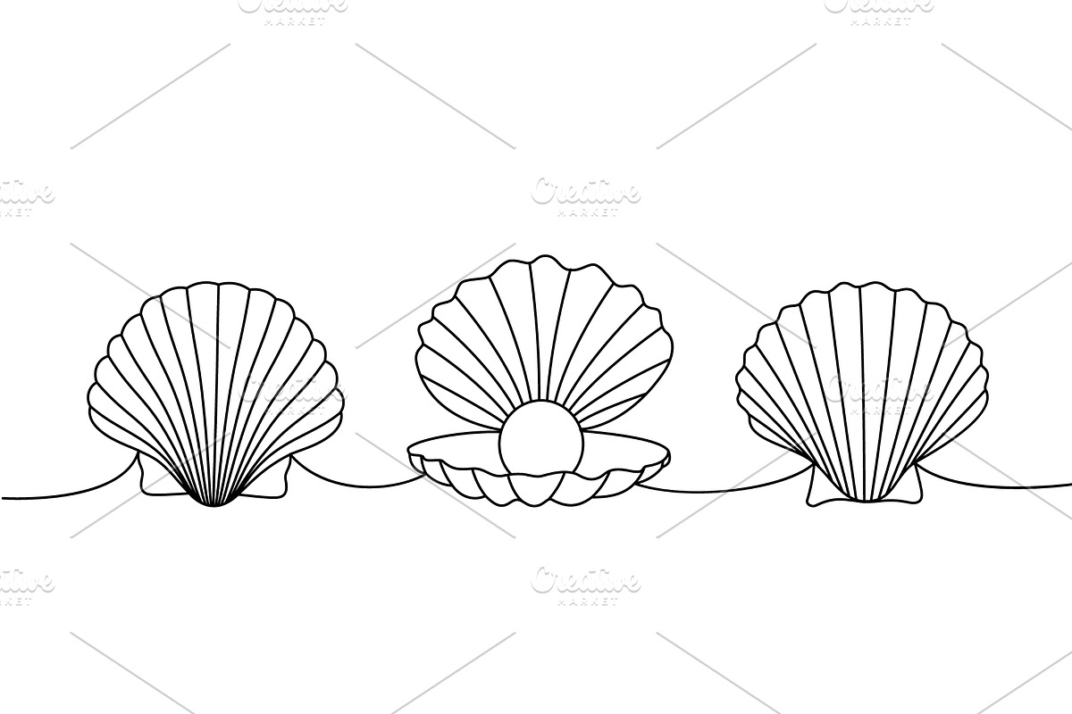 Pearl shells. Sea shells, mollusks, an Object Illustration by GraphiShop