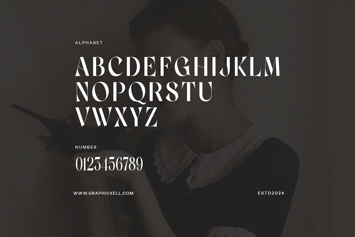 Mogan Elegant Serif Font By Graphicxell
