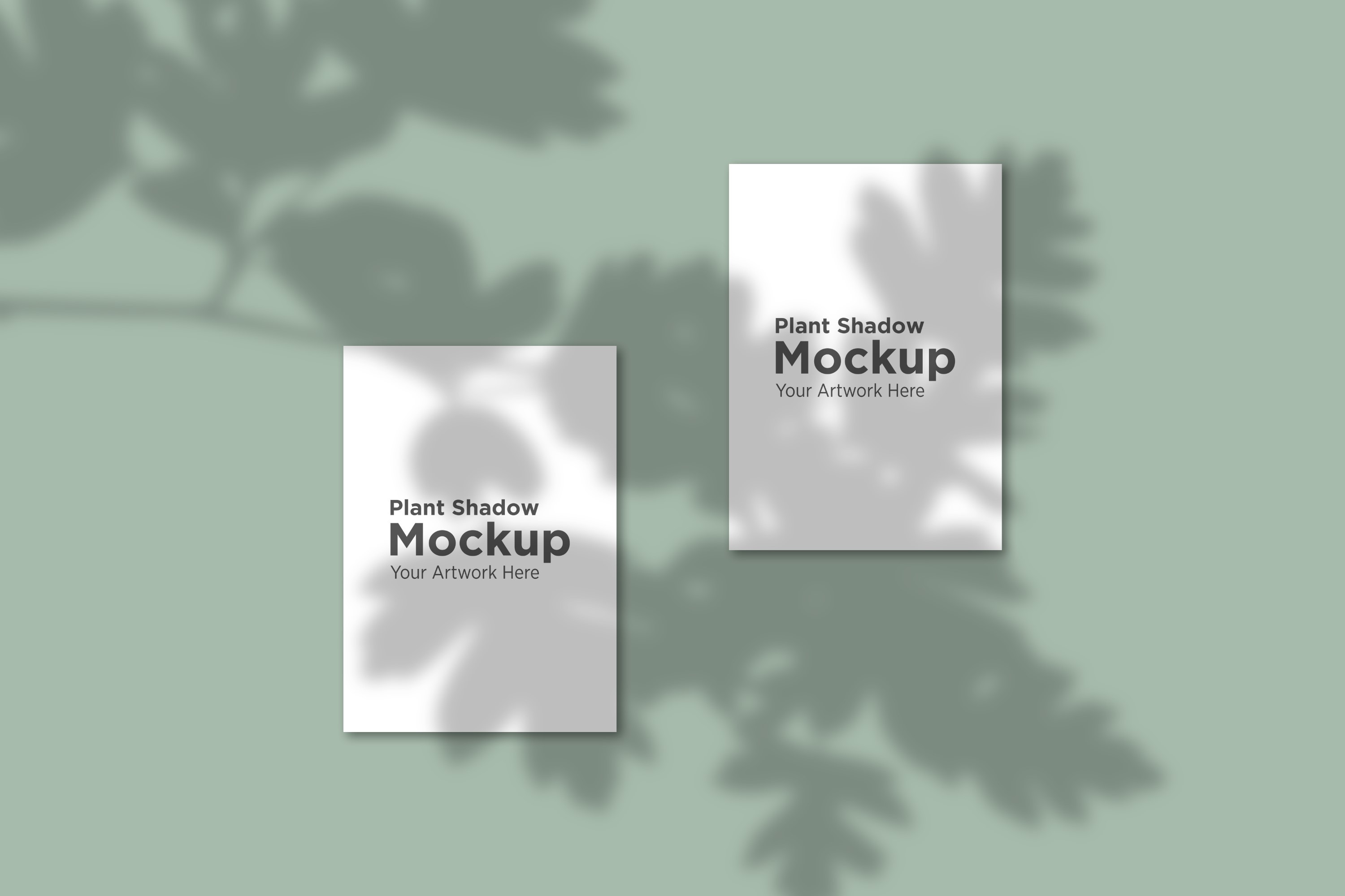 Plant Shadow Mockup Template, a Product Mockup by shahsoft