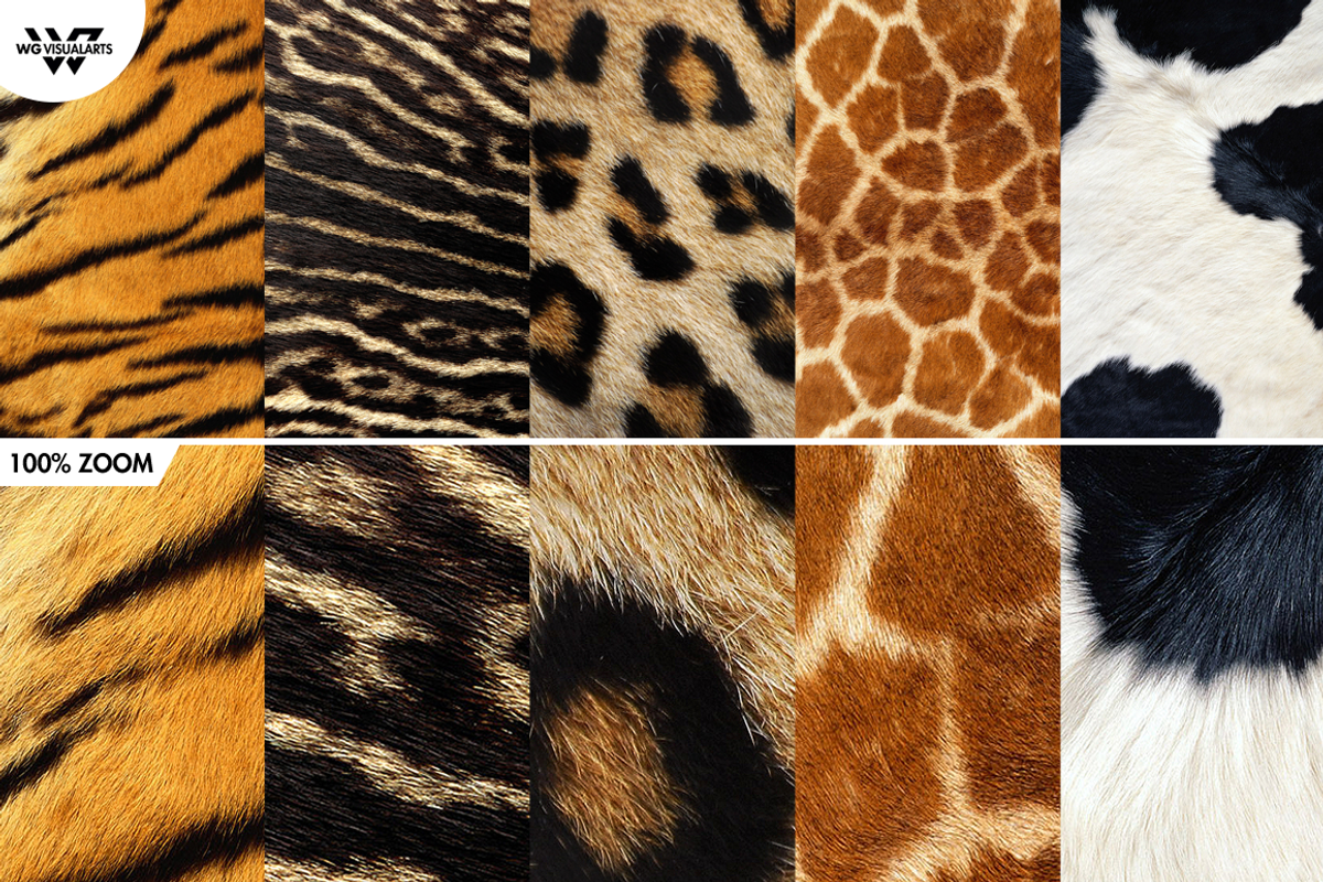 15 ANIMAL Textures, a Texture Graphic by WG DESIGN