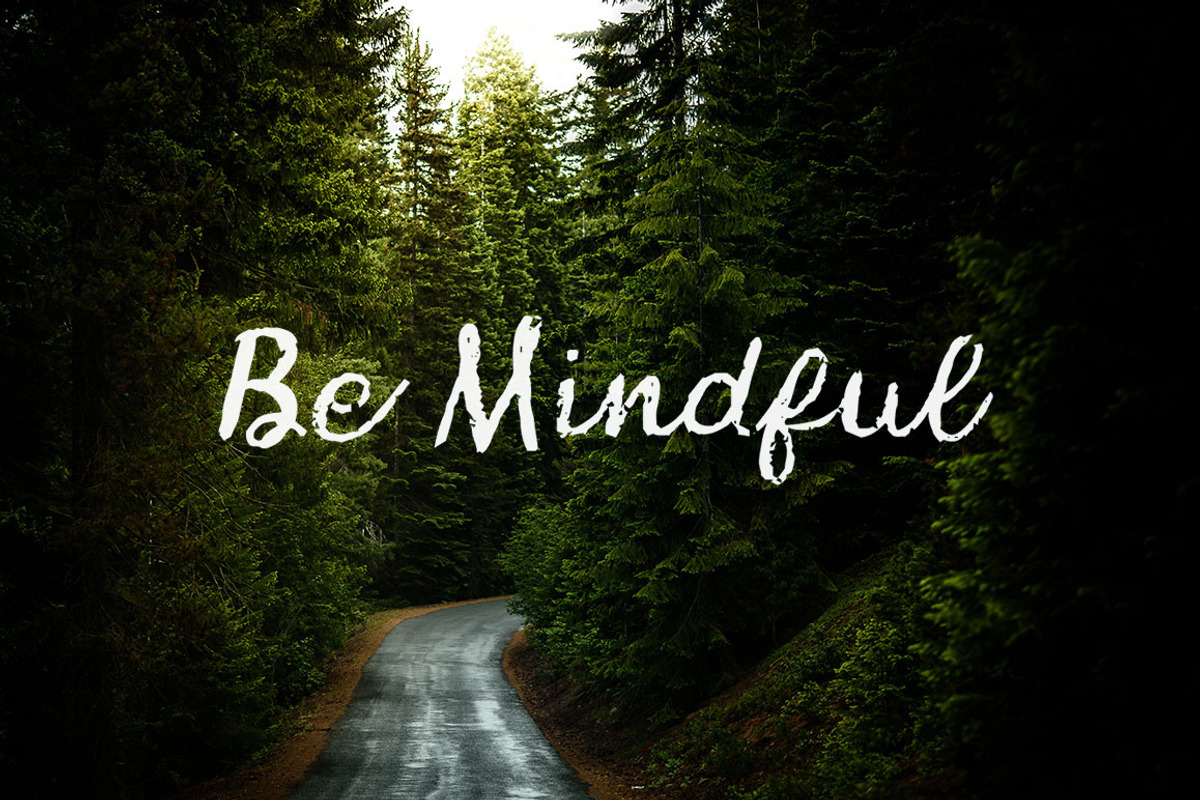 Silverfields - Font Trio + More, a Script Font by Rawberry Strubarb Ink.