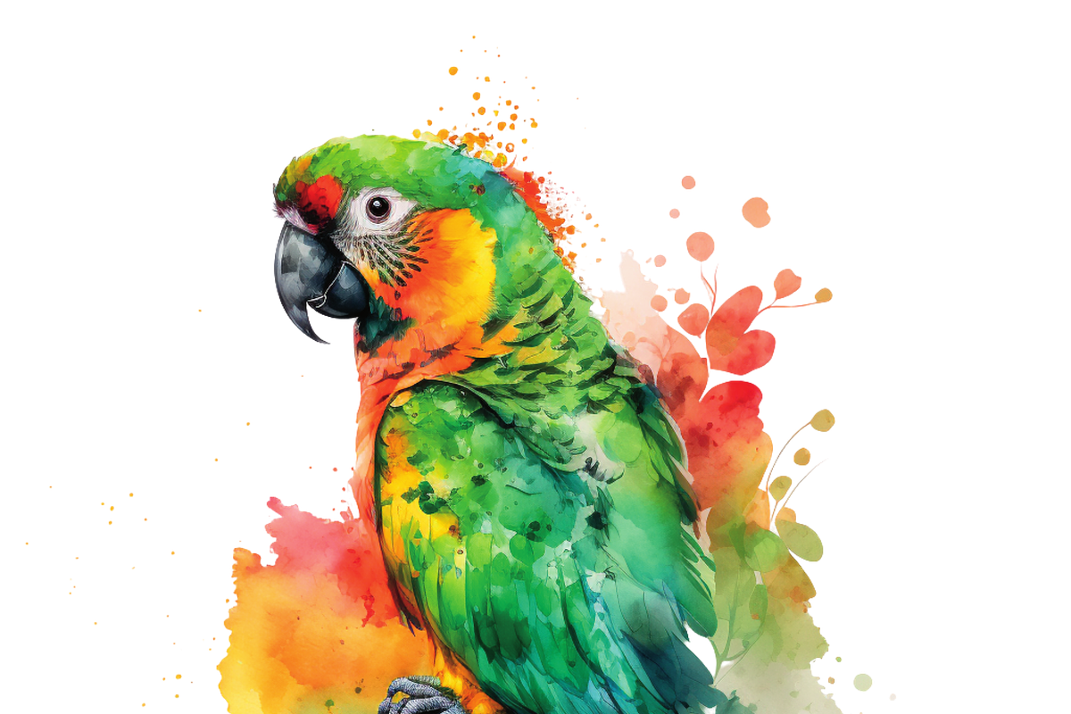Parrot Watercolor Illustration Set